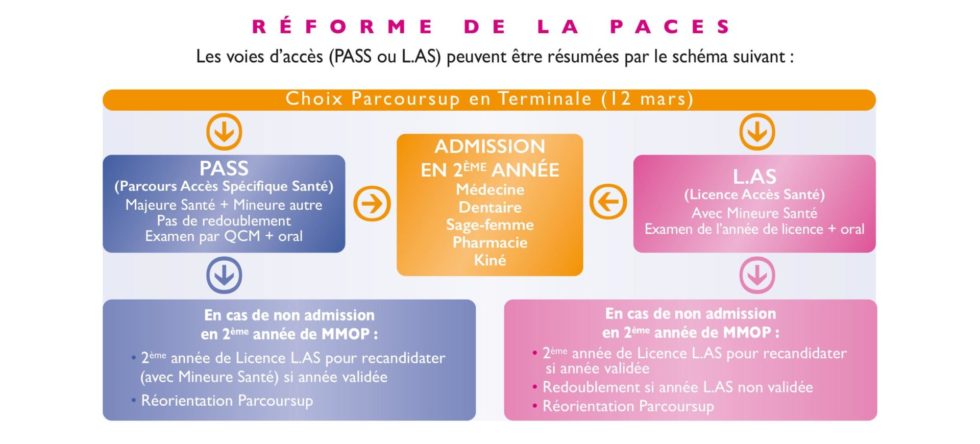 Réforme : tout savoir sur la PASS et la L.AS. Toulouse